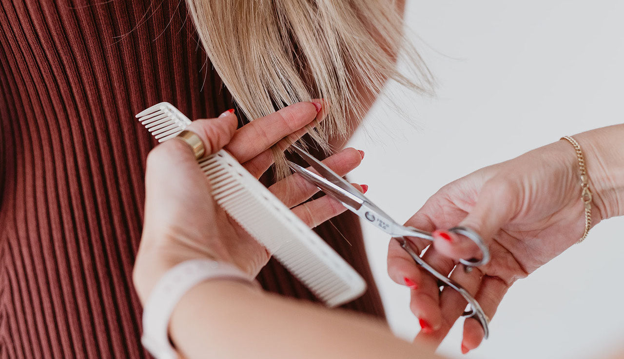 Unlock the Power of K-Tips with Our Proven Mentorship Program ...